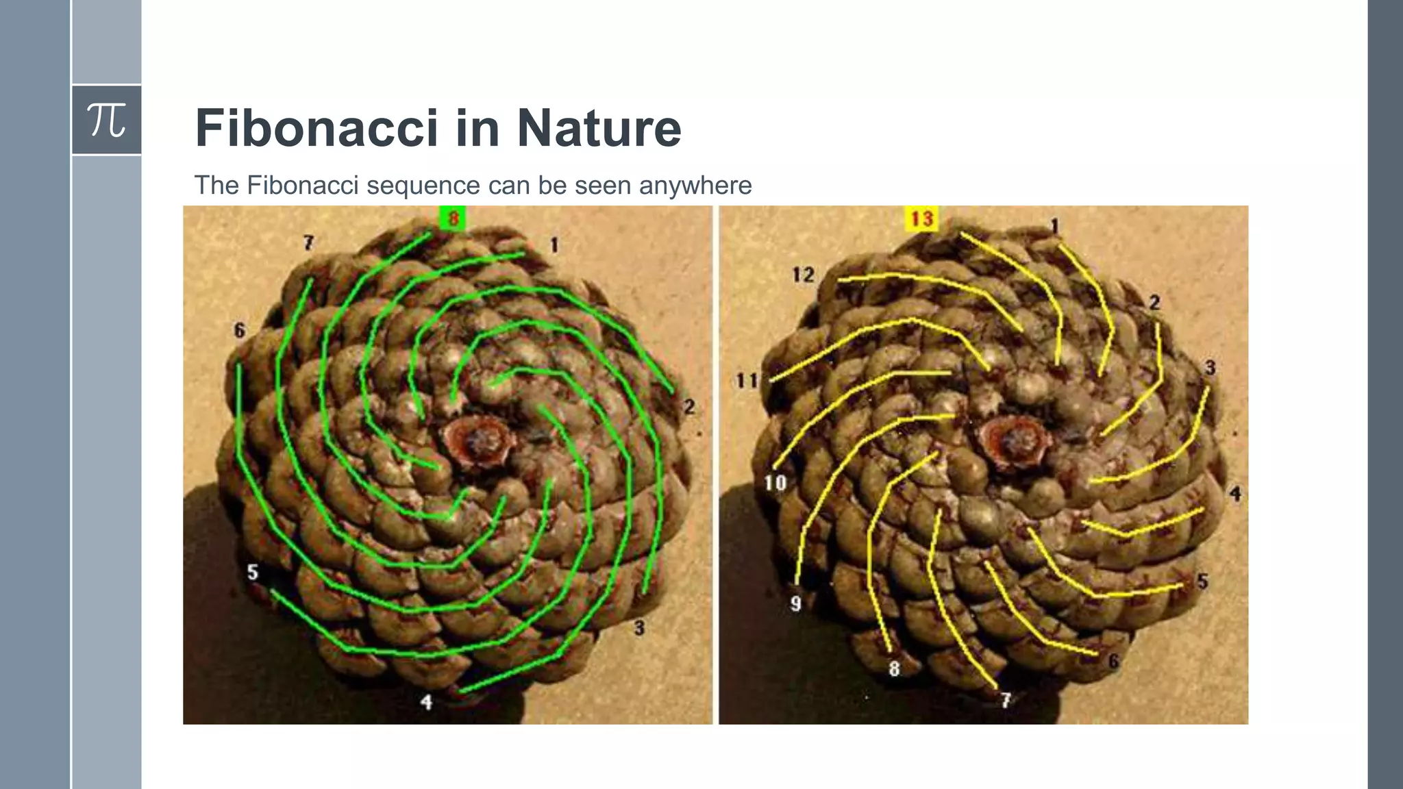 Fibonacci numbers.pptx