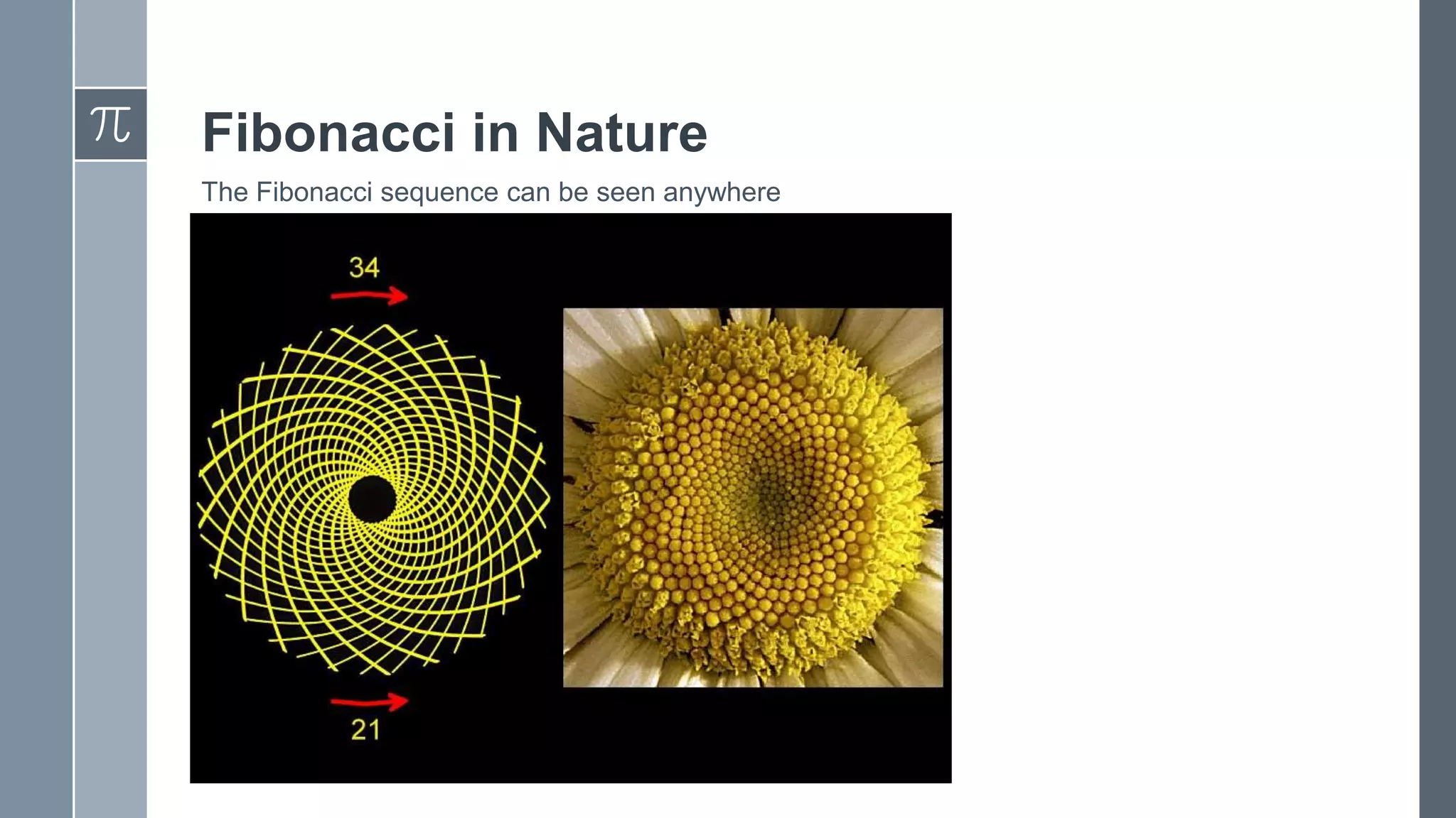 Fibonacci numbers.pptx