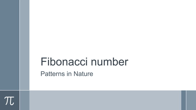 Fibonacci numbers.pptx