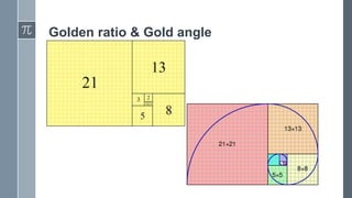 Fibonacci numbers.pptx