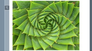 Fibonacci numbers.pptx