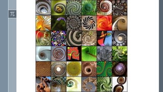 Fibonacci numbers.pptx