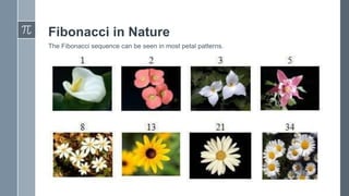 Fibonacci numbers.pptx