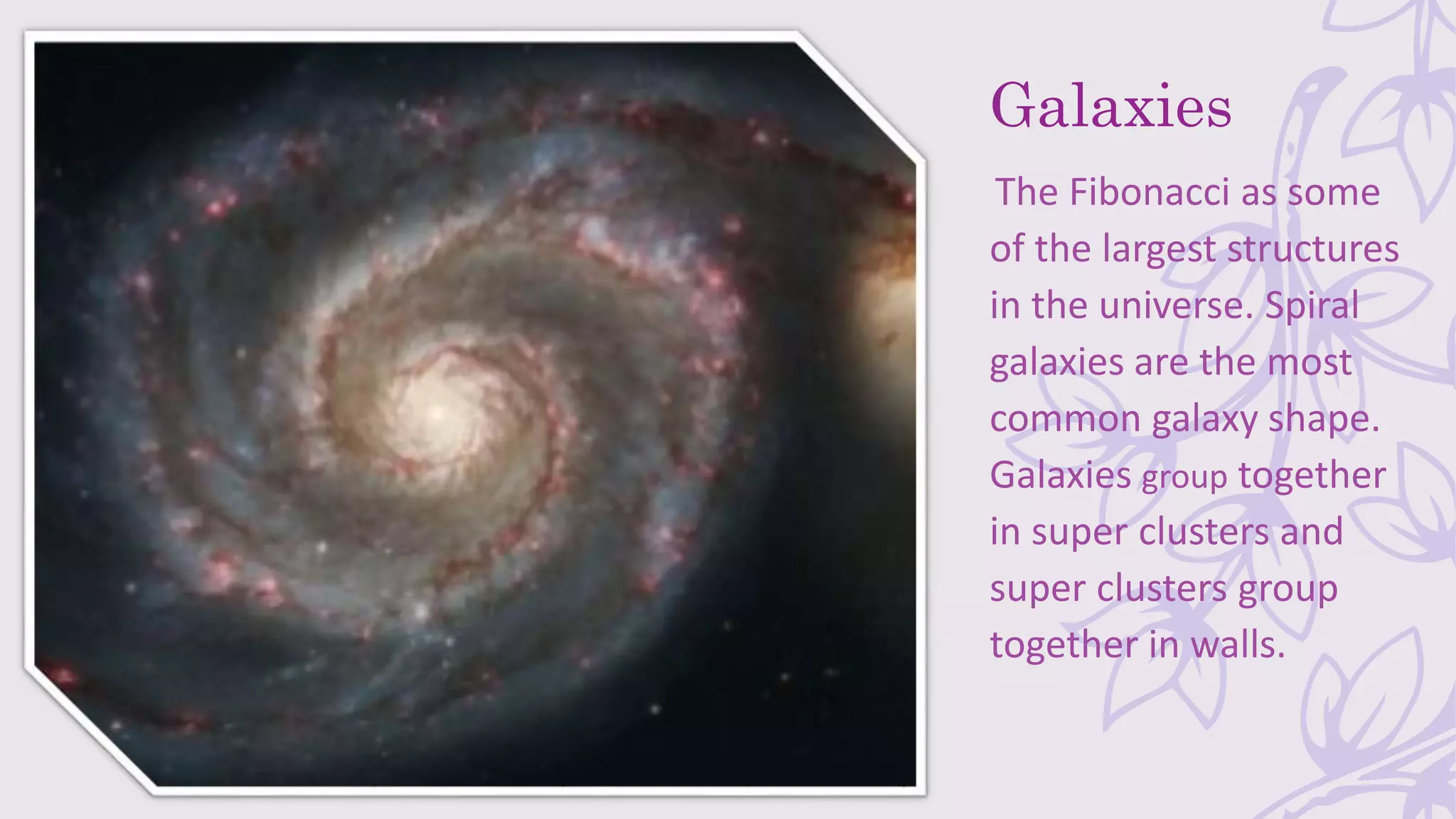 Fibonacci Numbers.pptx