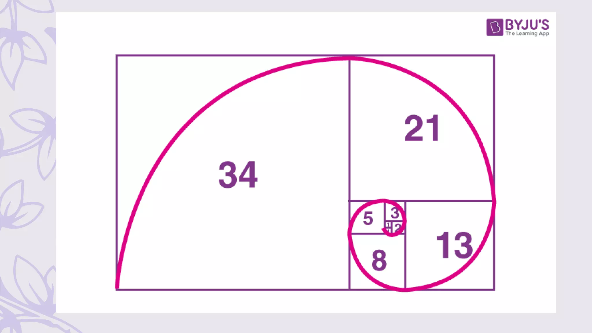 Fibonacci Numbers.pptx