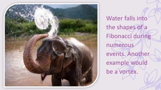 Fibonacci Numbers.pptx