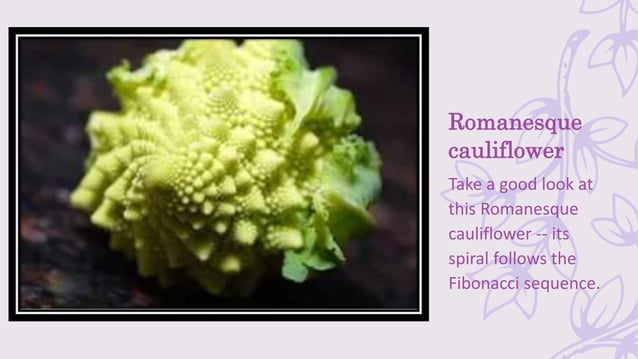 Fibonacci Numbers.pptx