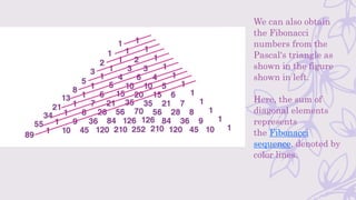 Fibonacci Numbers.pptx