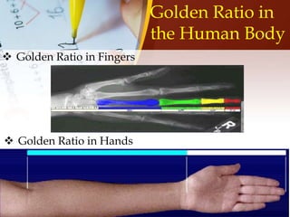 Fibonacci numbers and golden ratio | PPTX