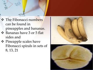 Fibonacci numbers and golden ratio | PPTX | Eye and Vision Conditions ...