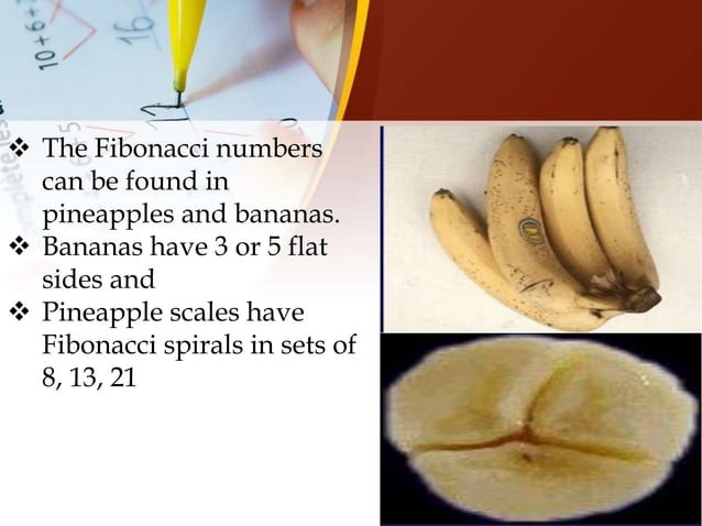 Fibonacci numbers and golden ratio | PPTX | Eye and Vision Conditions ...