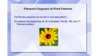Fibonacci Numbers (Mathematics in the Modern World Lesson) | PPTX