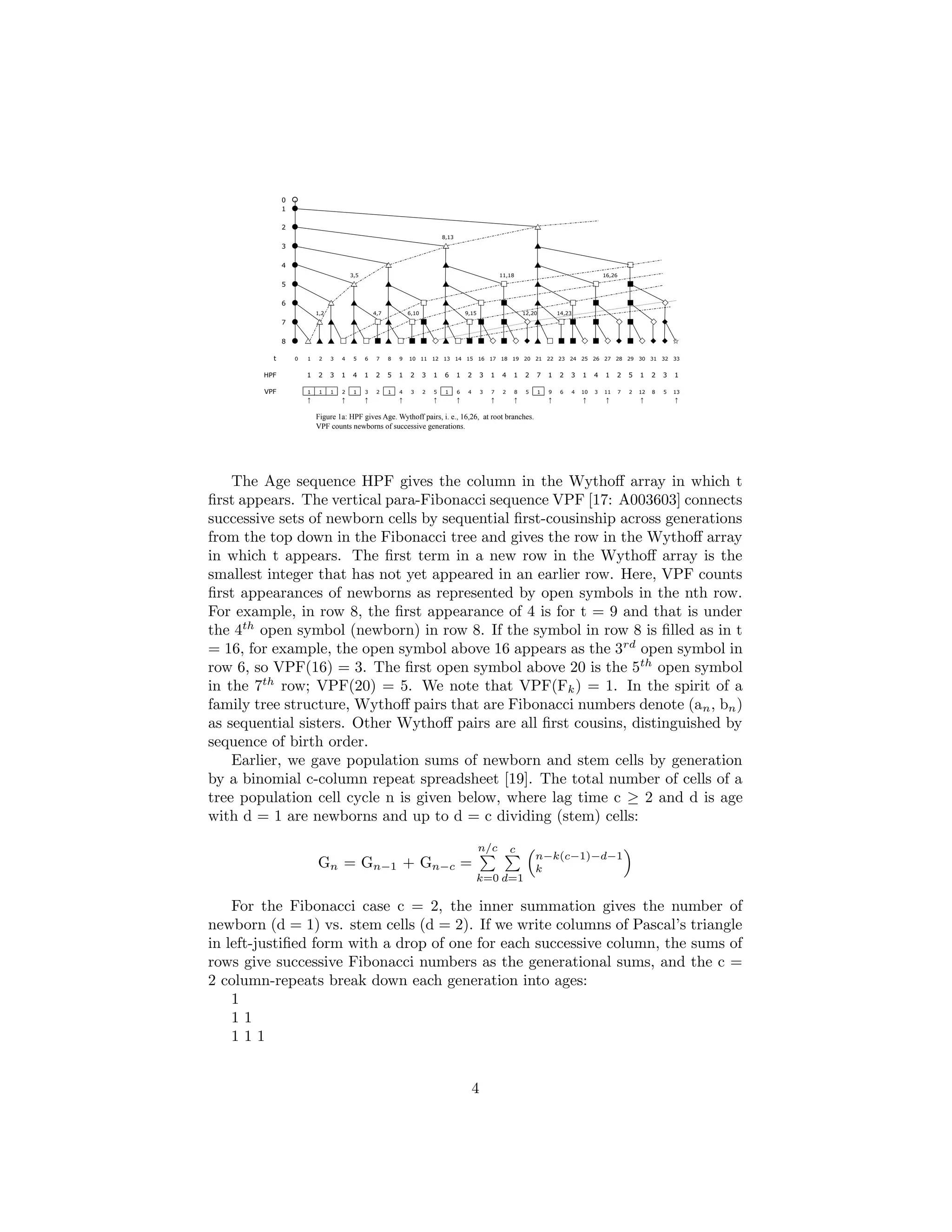 Fibonacci Phyllotaxis By Asymmetric Cell Division Pdf Pdf