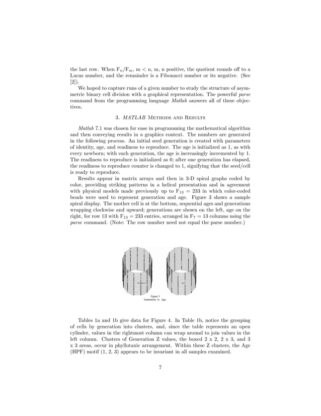Fibonacci Phyllotaxis By Asymmetric Cell Division Pdf Pdf