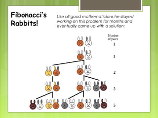 Patterns in Nature | PPT