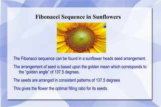fibonaccisequence-101203110215-phpapp02.pdf