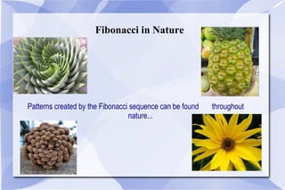 Fibonacci sequence | ODP