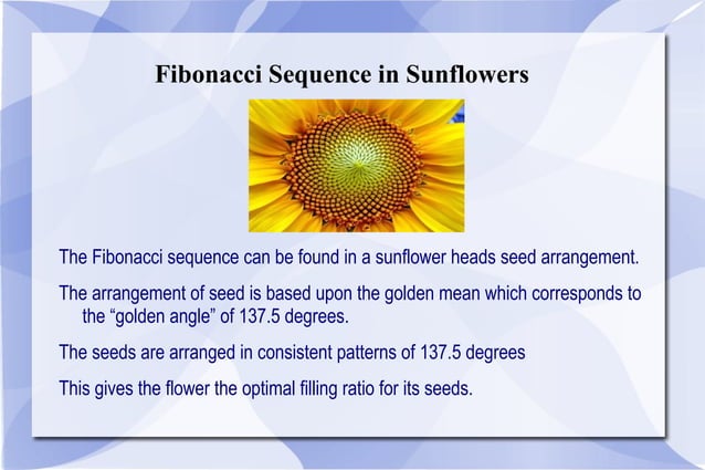 Fibonacci sequence | ODP | Physics | Science