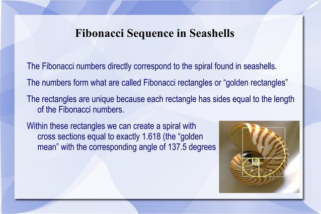 Fibonacci sequence | ODP | Physics | Science
