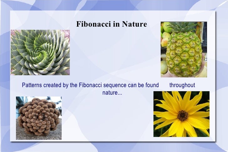 Fibonacci sequence
