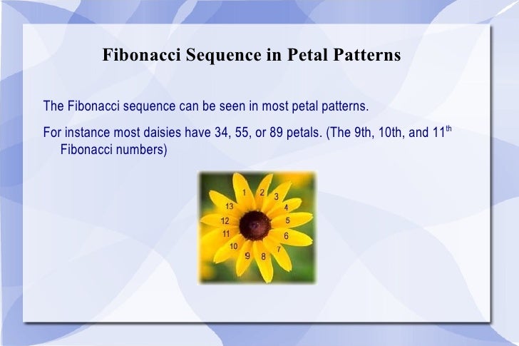Fibonacci sequence examples - aybery