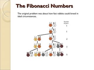Fibonacci sequence | PPT
