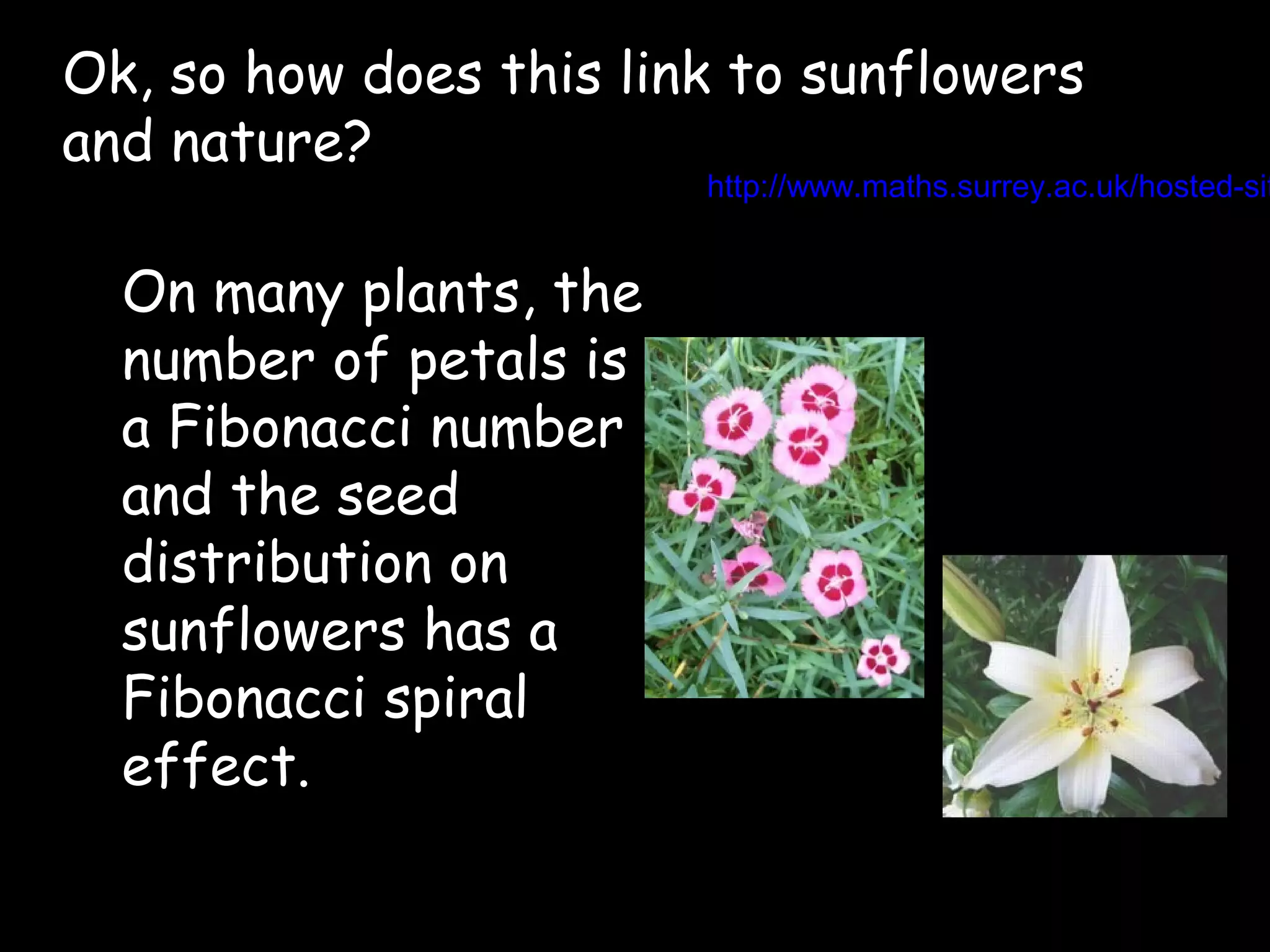 Fibonacci sequence | PPT