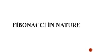 Fi̇bonacci̇ sequence | PDF | Chemistry | Science