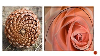 Fi̇bonacci̇ sequence | PDF | Chemistry | Science