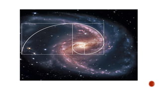 Fi̇bonacci̇ sequence | PDF | Chemistry | Science