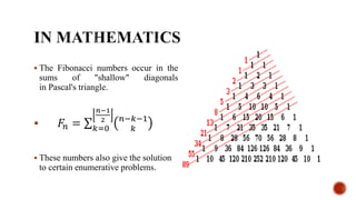 Fi̇bonacci̇ sequence | PDF | Chemistry | Science