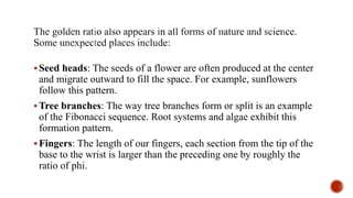 Fi̇bonacci̇ sequence | PDF | Chemistry | Science
