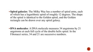 Fi̇bonacci̇ sequence | PDF | Chemistry | Science
