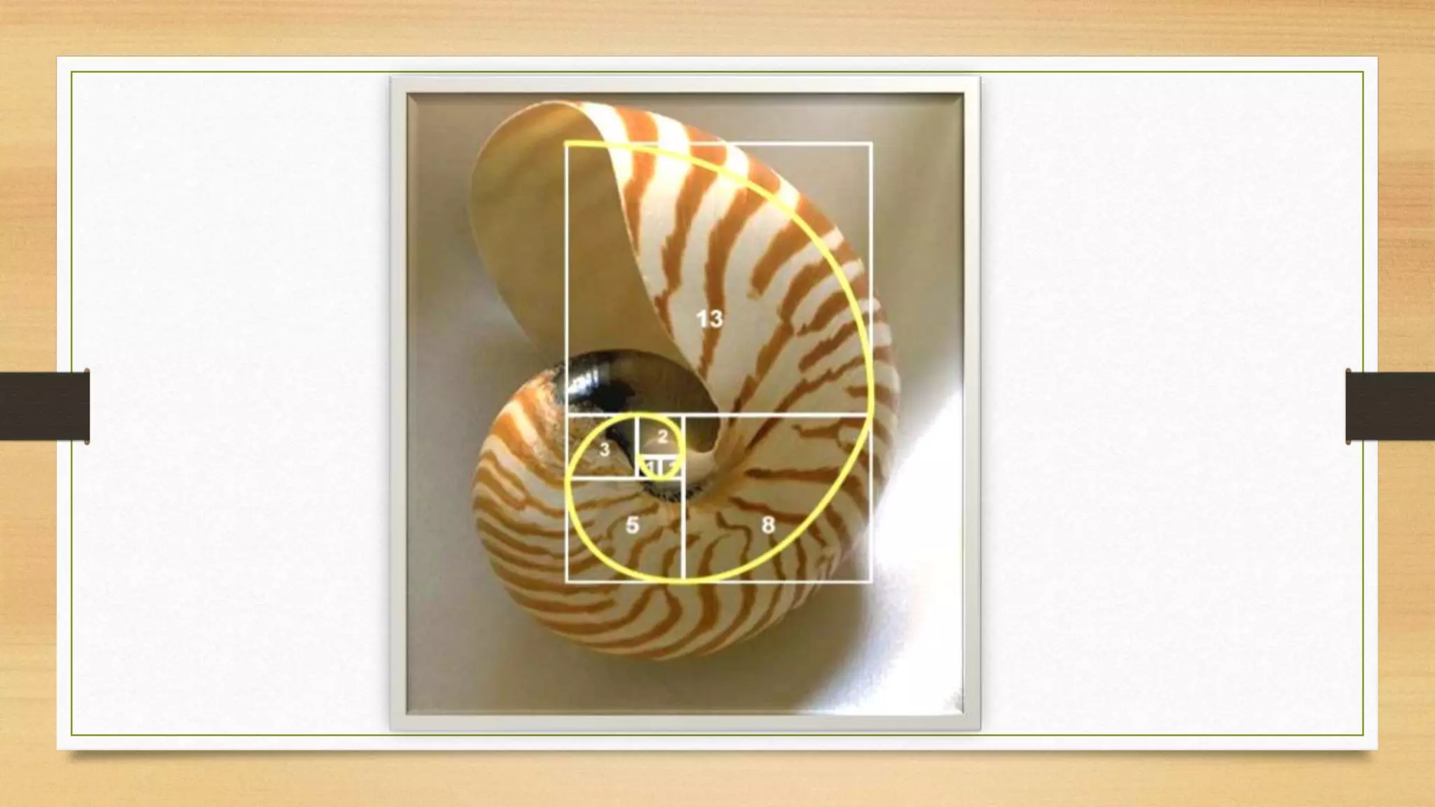 Fibonacci sequence | PPTX