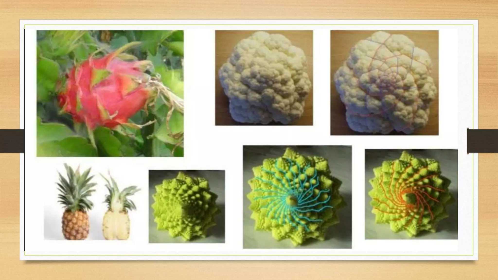 Fibonacci sequence | PPTX