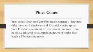 Fibonacci sequence | PPTX