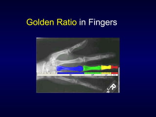 Fibonacci sequence and golden ratio | PPT