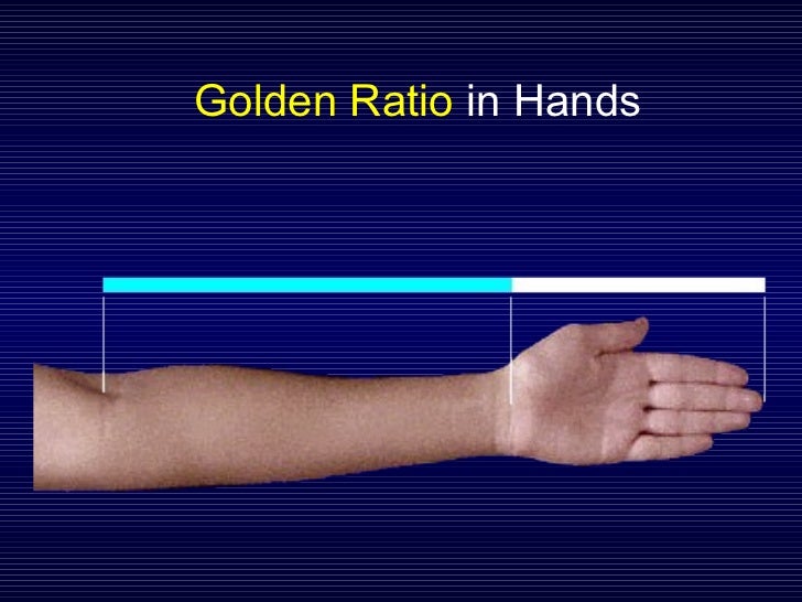 Human Golden Ratio Fibonacci Sequence