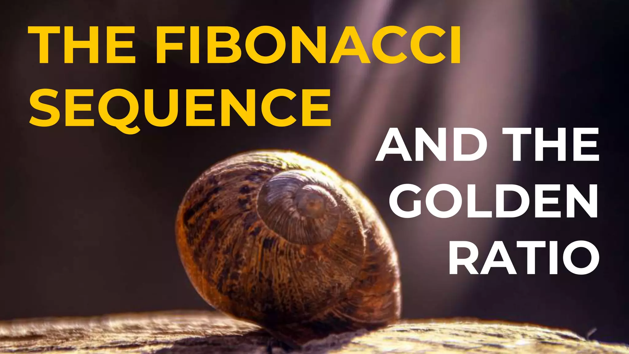 Fibonacci Sequence and The Golden Ratio.pptx