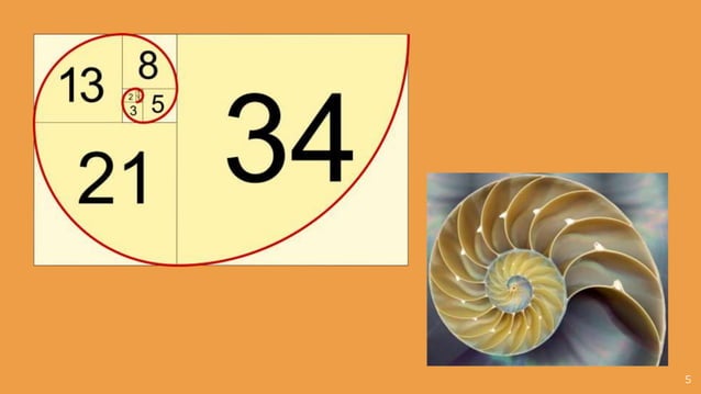 Fibonacci Sequence and The Golden Ratio.pptx