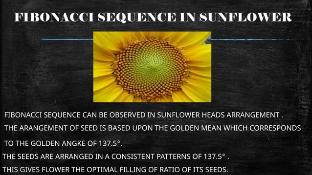 Fibonacci Sequence Maths Exb 1 Pptxiiiii Ppt