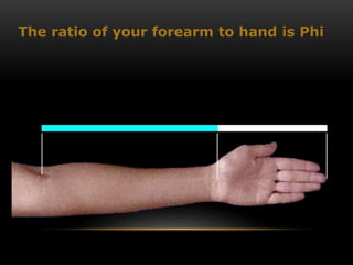 Fibonacci series and Golden ratio | PPTX