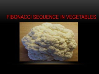 Fibonacci series and Golden ratio | PPTX