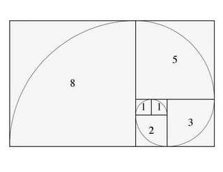 Fibonacci spiral sheet | PDF