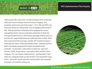 JURNAL FIBRA | PPT