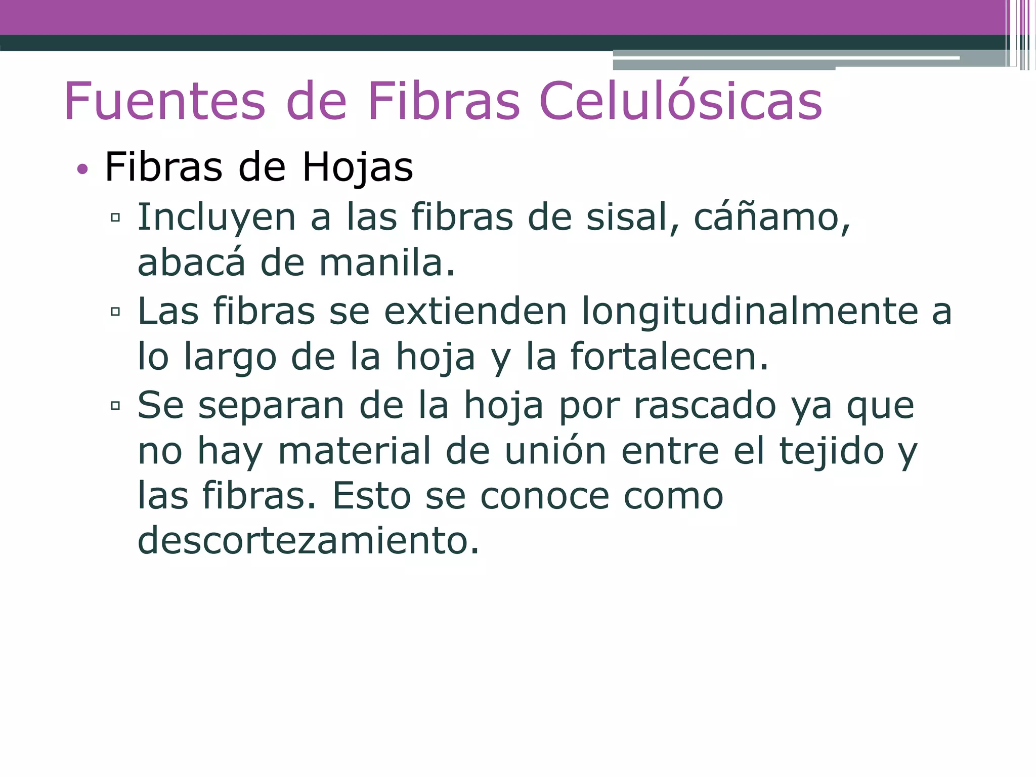 Fibras celulosicas | PPTX