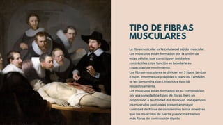 Fibras musculares .pdf