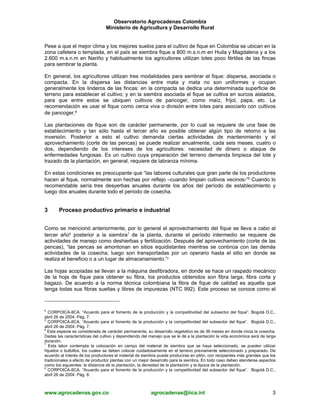 Fibras naturales fiqueeee | PDF