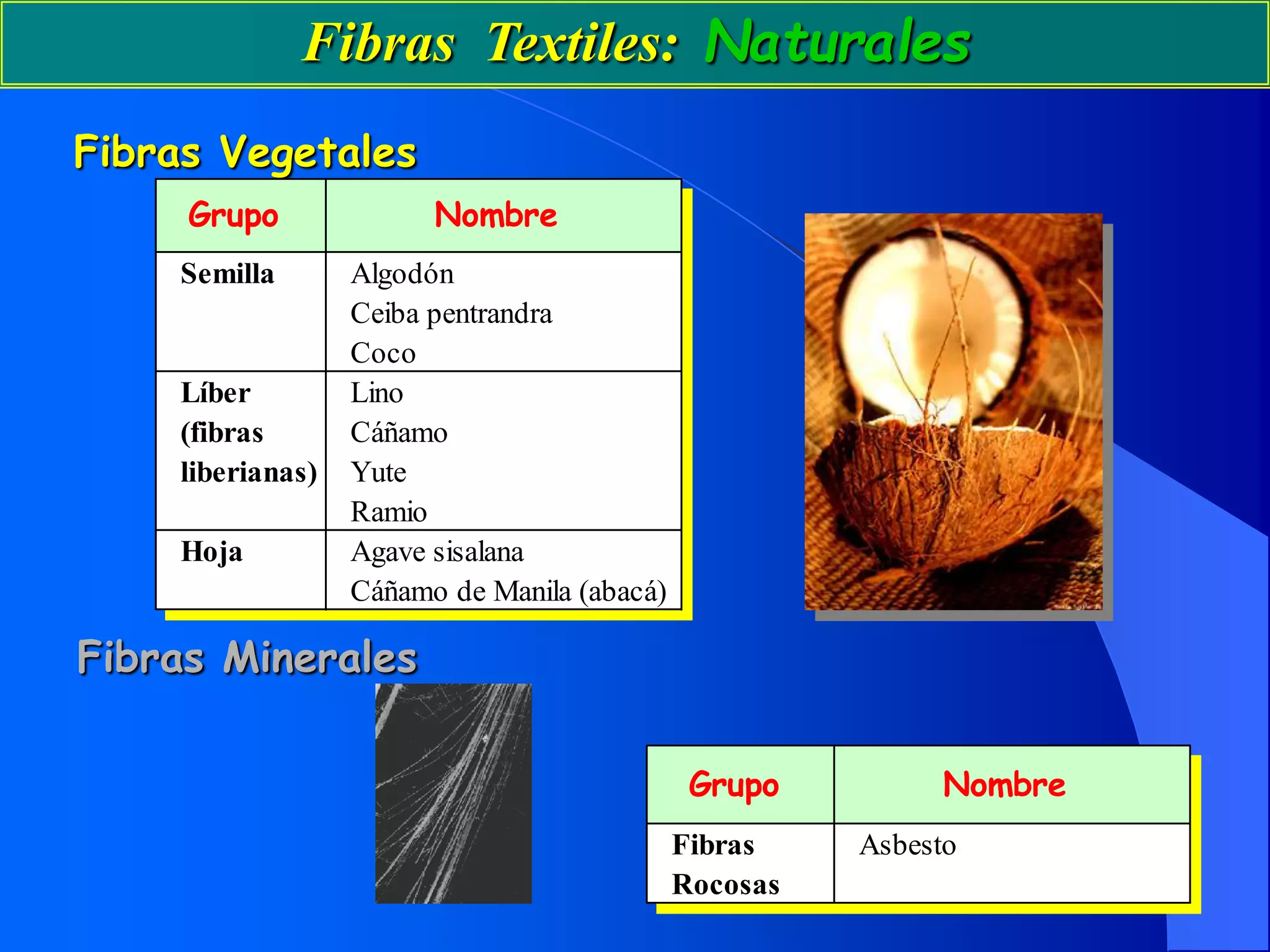 Fibras Textiles e Hilatura | PDF