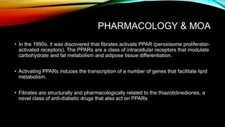 Fibrates - class, effects, side effects, drugs interactions, main ...